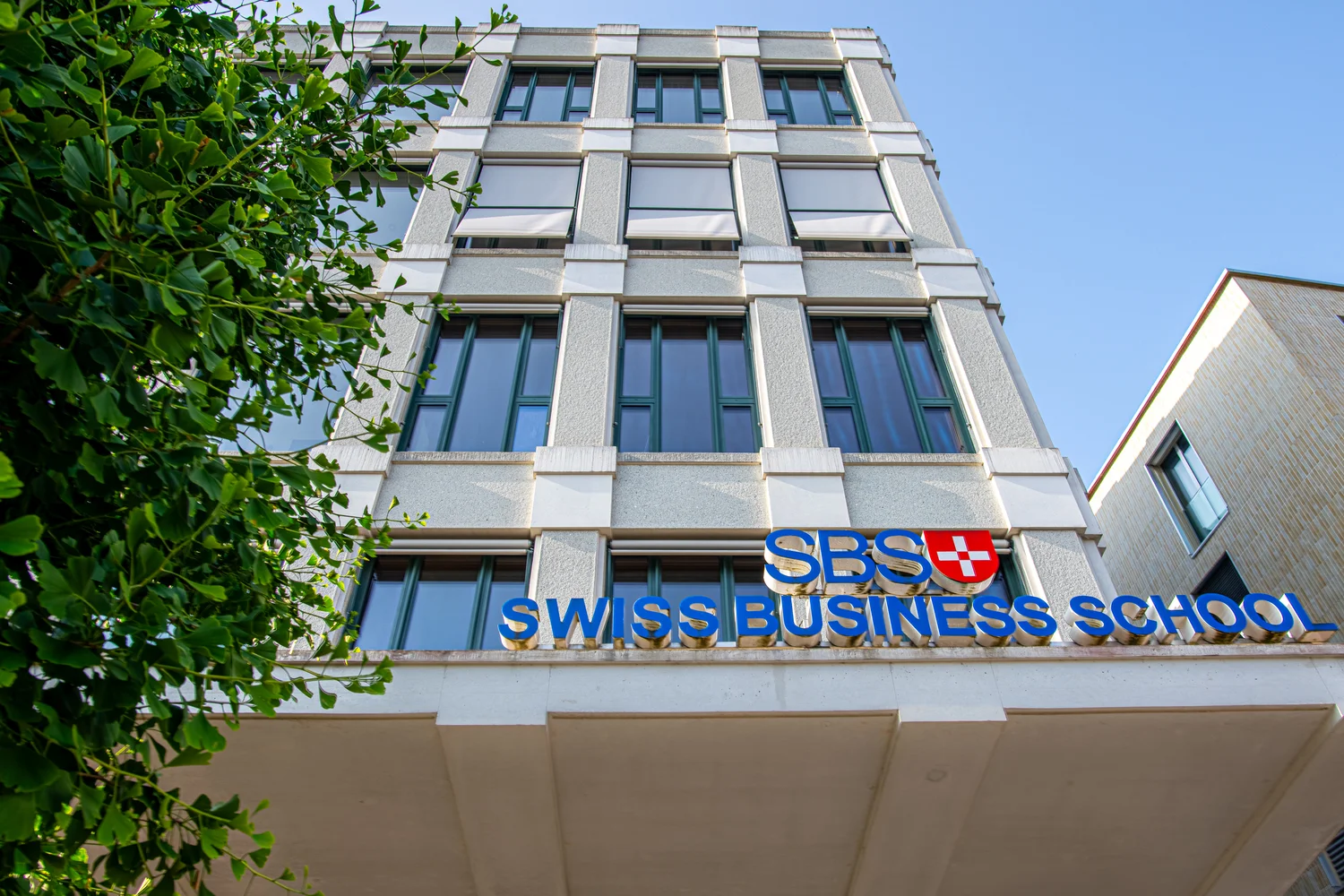 Storytelling and Presentation Skills | SBS Swiss Business School